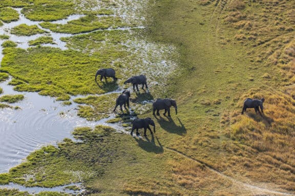 Uncovering the Rich History of Botswana: A Tour of Botswana's Landmarks ...