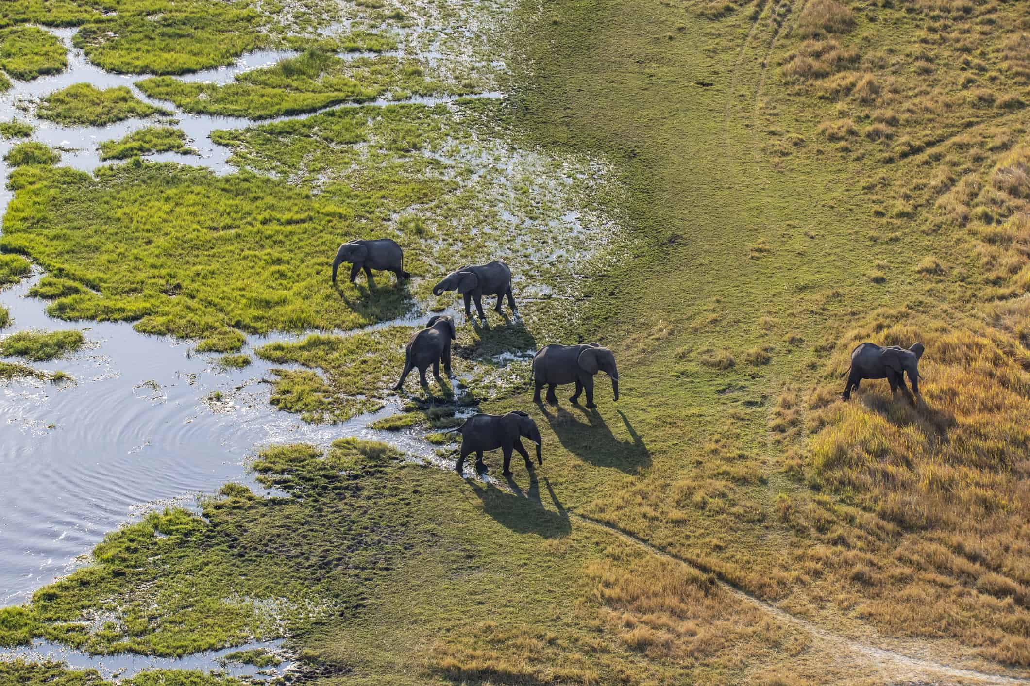 Uncovering the Rich History of Botswana: A Tour of Botswana's Landmarks ...