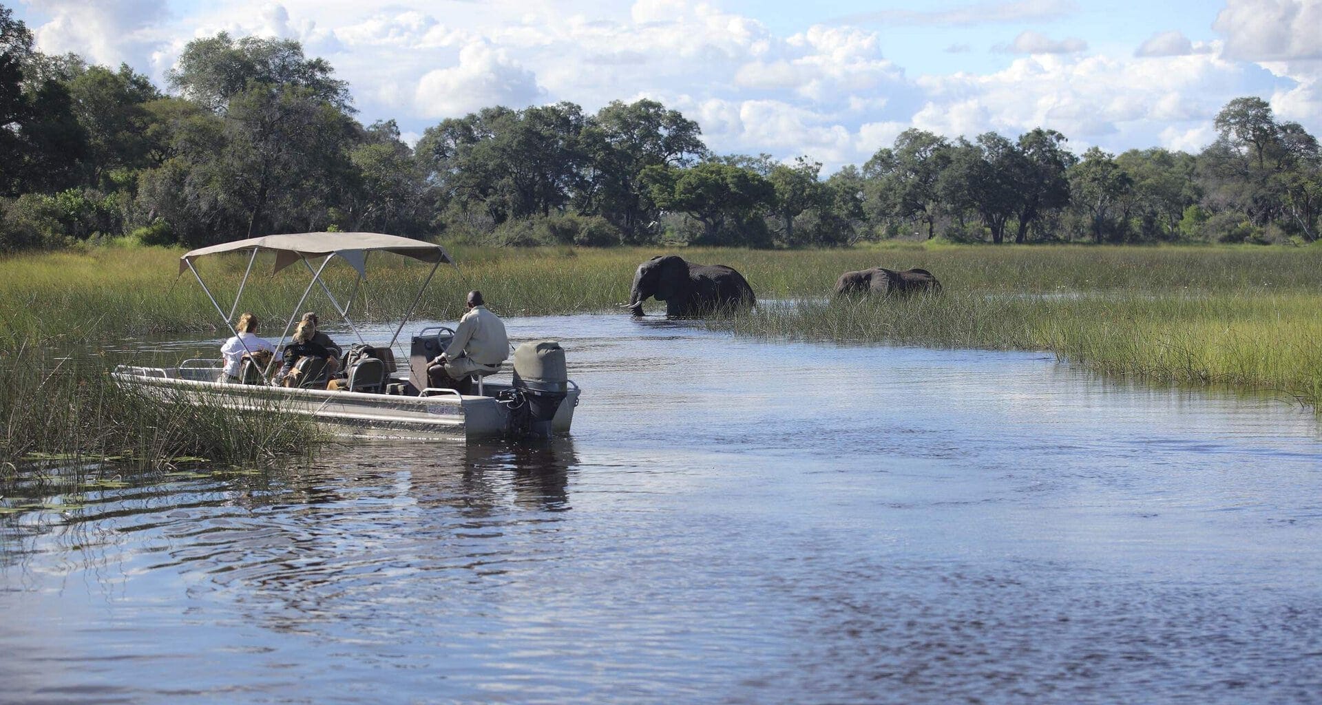 Family Okavango Delta Safari Review | Discover Africa