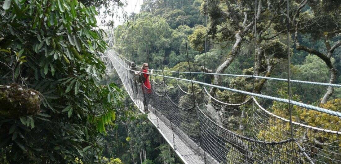 A rough guide to the best national parks in Rwanda | Discover Africa