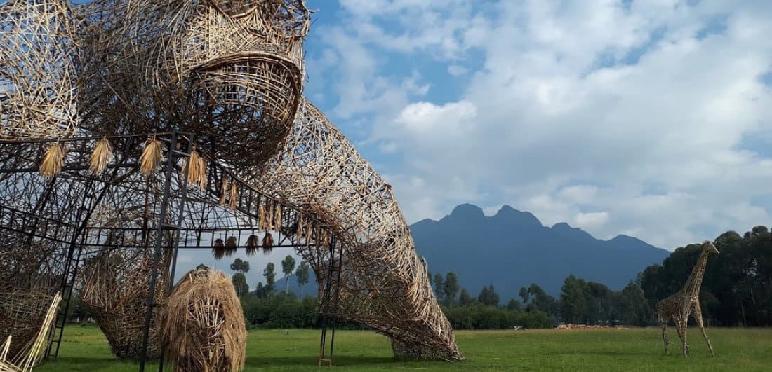 A rough guide to the best national parks in Rwanda | Discover Africa