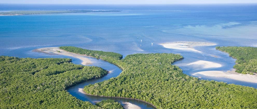 Where in the world is Ibo? | Discover Africa