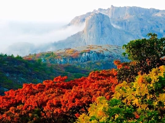 Zimbabwe’s Eastern Highlands | Discover Africa