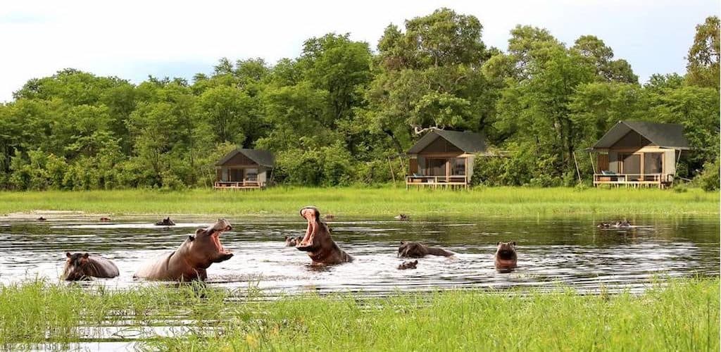 Okavango Delta in September | Discover Africa