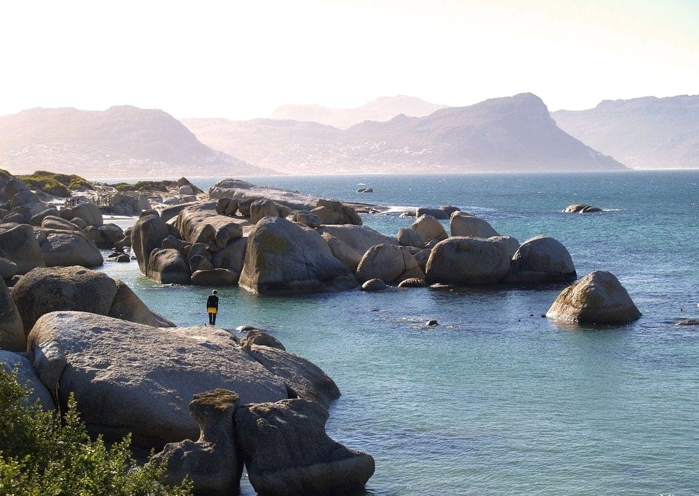 False Bay: Surfing, Penguins & Scenic Drives in Cape Town