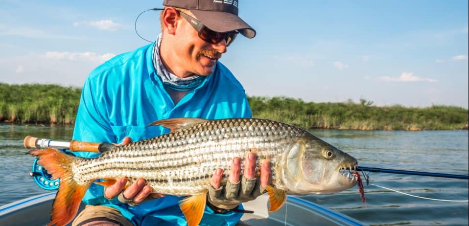 Ultimate Tiger Fishing Adventure: Chobe River Experience & Tips for ...