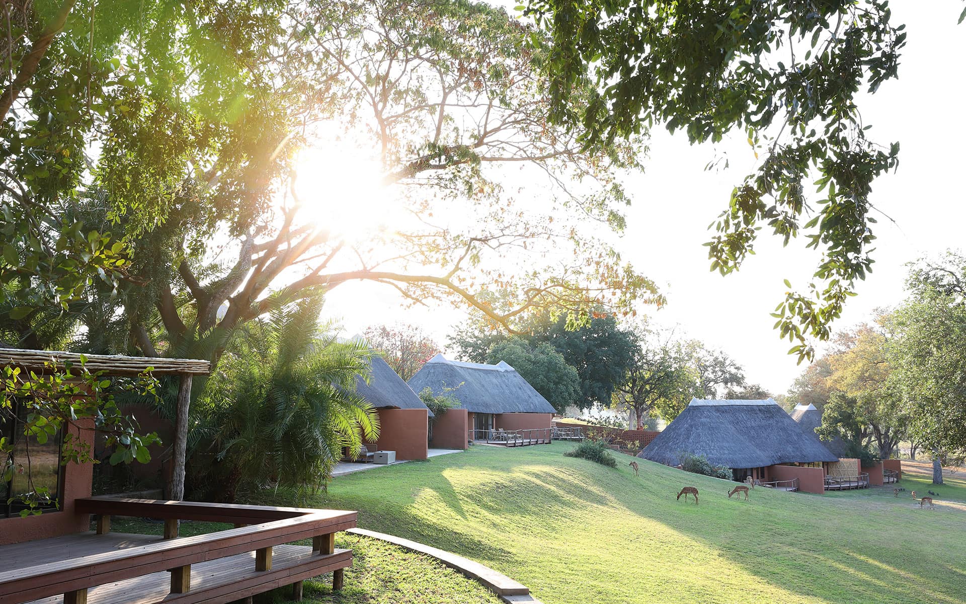 Mala Mala | Discover Africa