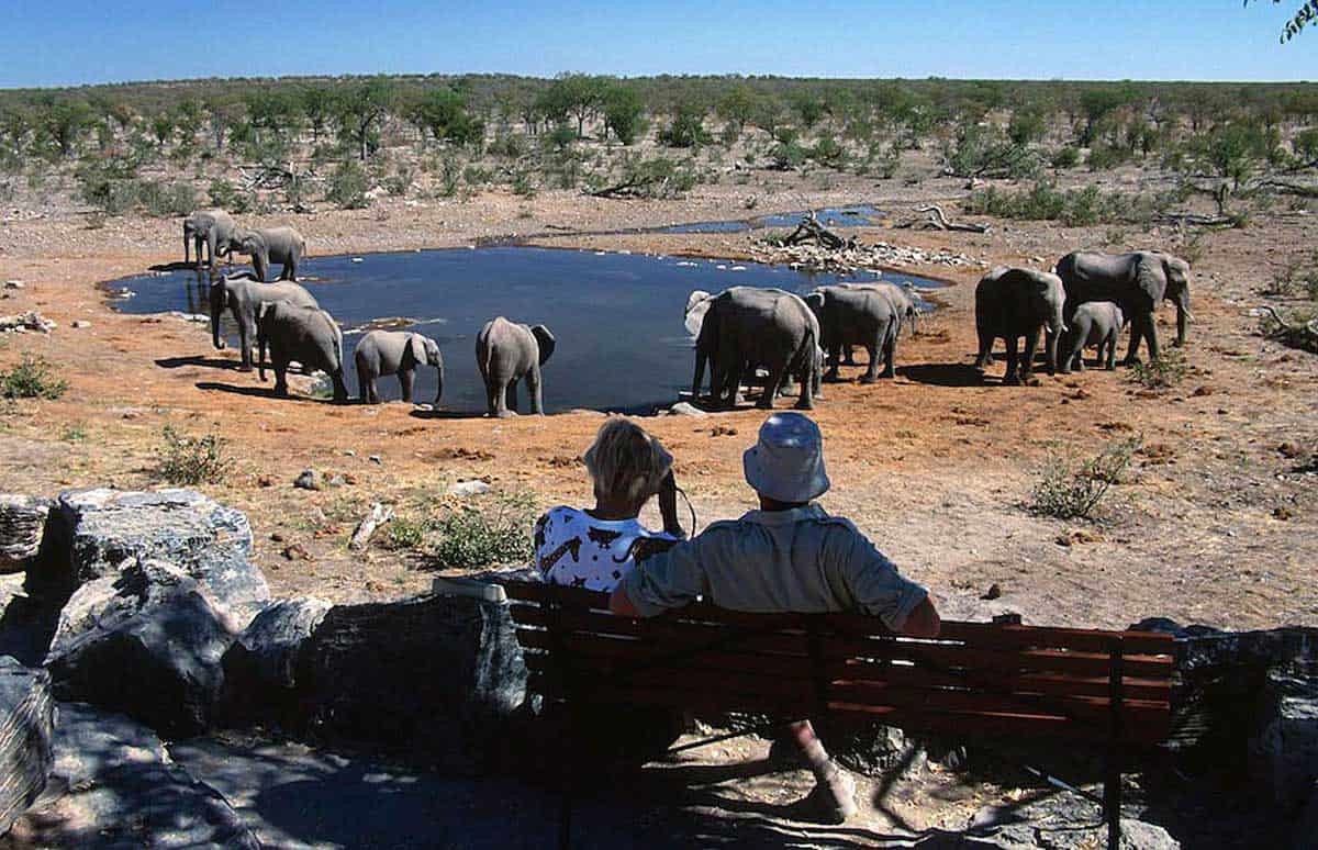 Why You Should Visit Etosha? | Discover Africa Safaris