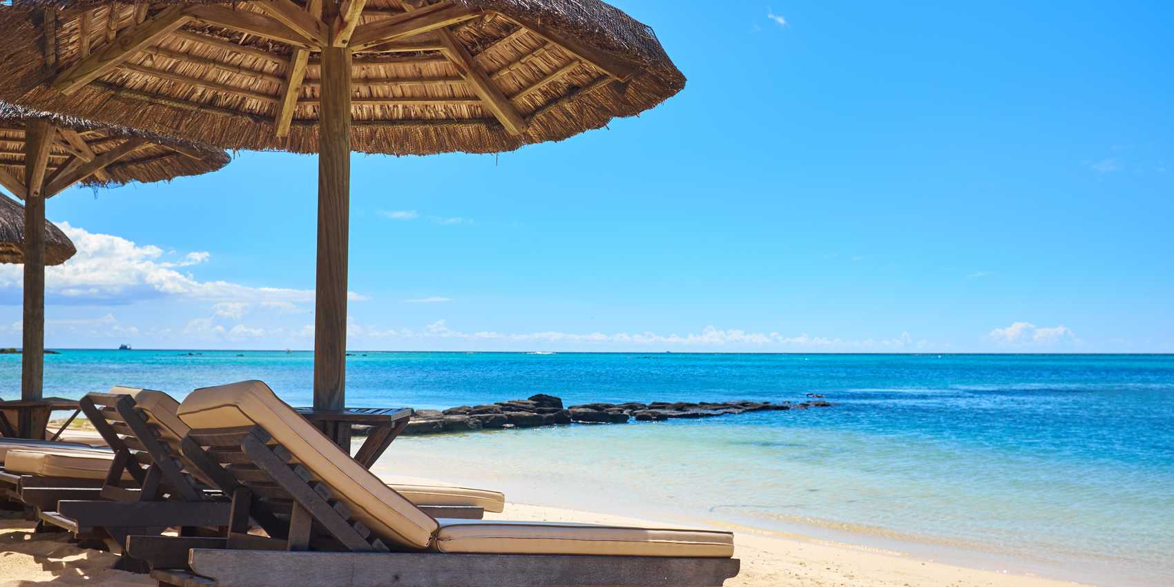 Wildlife, Flora and Fauna of Mauritius | Discover Africa