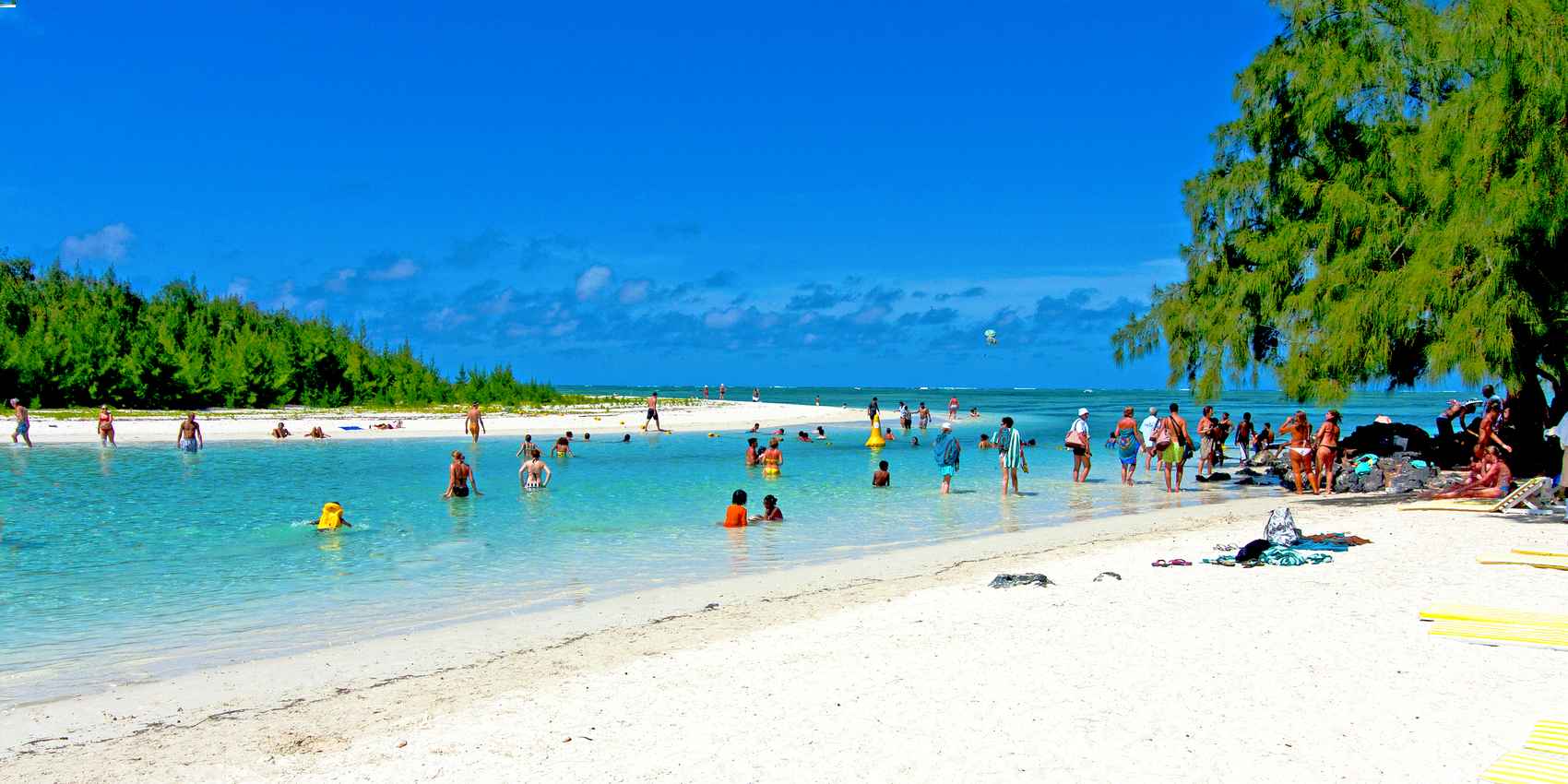 Wildlife, Flora and Fauna of Mauritius | Discover Africa