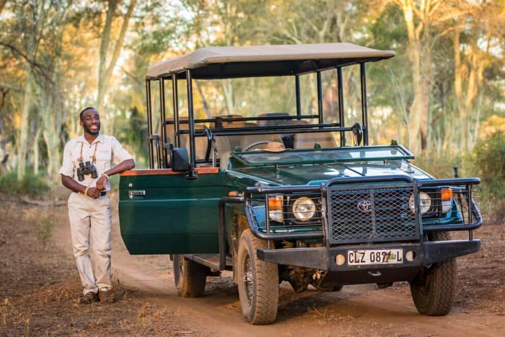 All You Need to Know About the Kruger National Park | Discover Africa