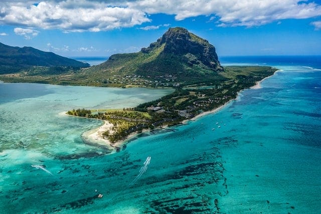 Wildlife, Flora and Fauna of Mauritius | Discover Africa
