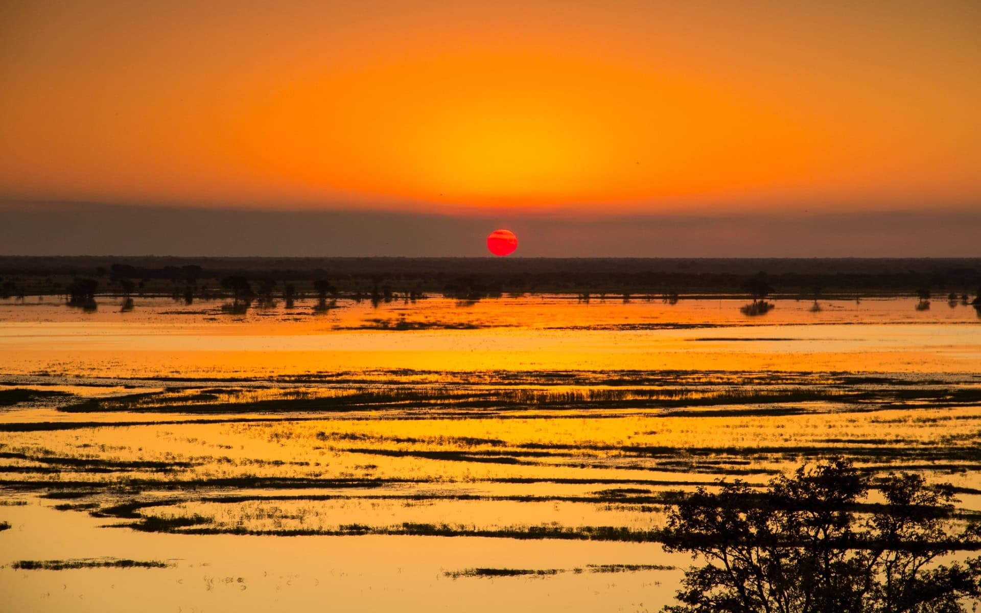 Seven of the best Botswana sunsets | Discover Africa