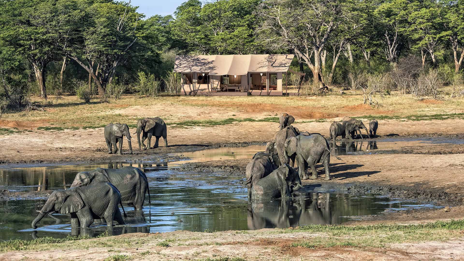 Zimbabwe and Botswana Ultimate Safari (13 days) | Discover Africa