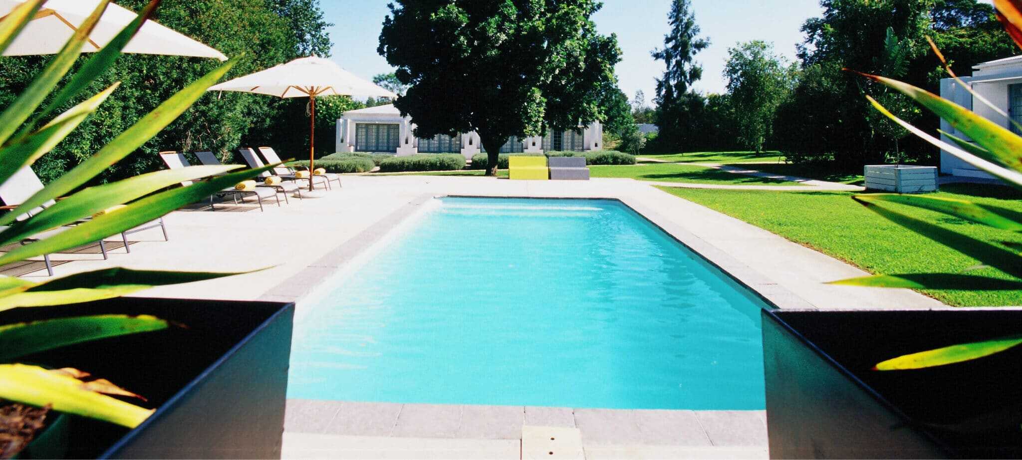 Bloomestate Swellendam bloomestate | Discover Africa Safaris