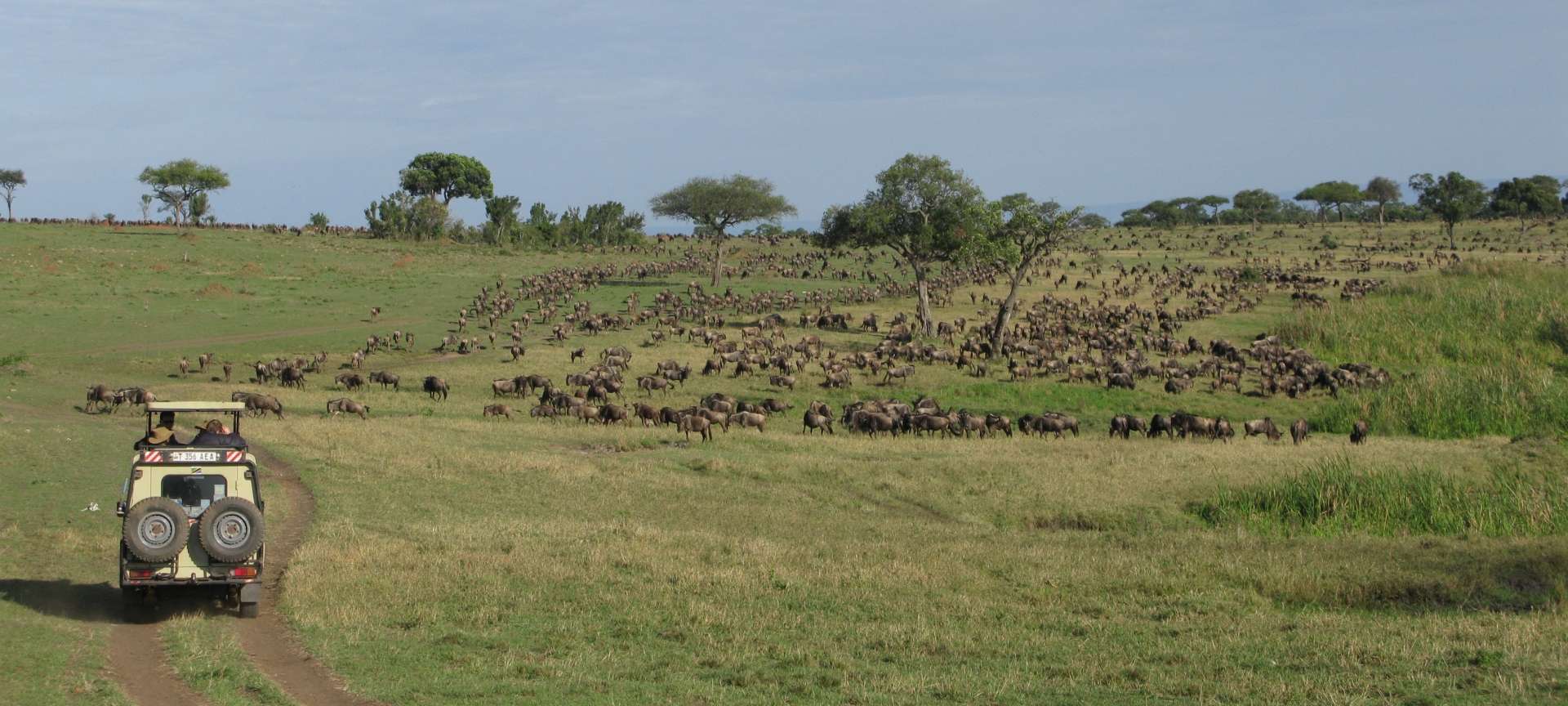 Huge herd crosses the Mara river near Lookout Hill | Discover Africa ...