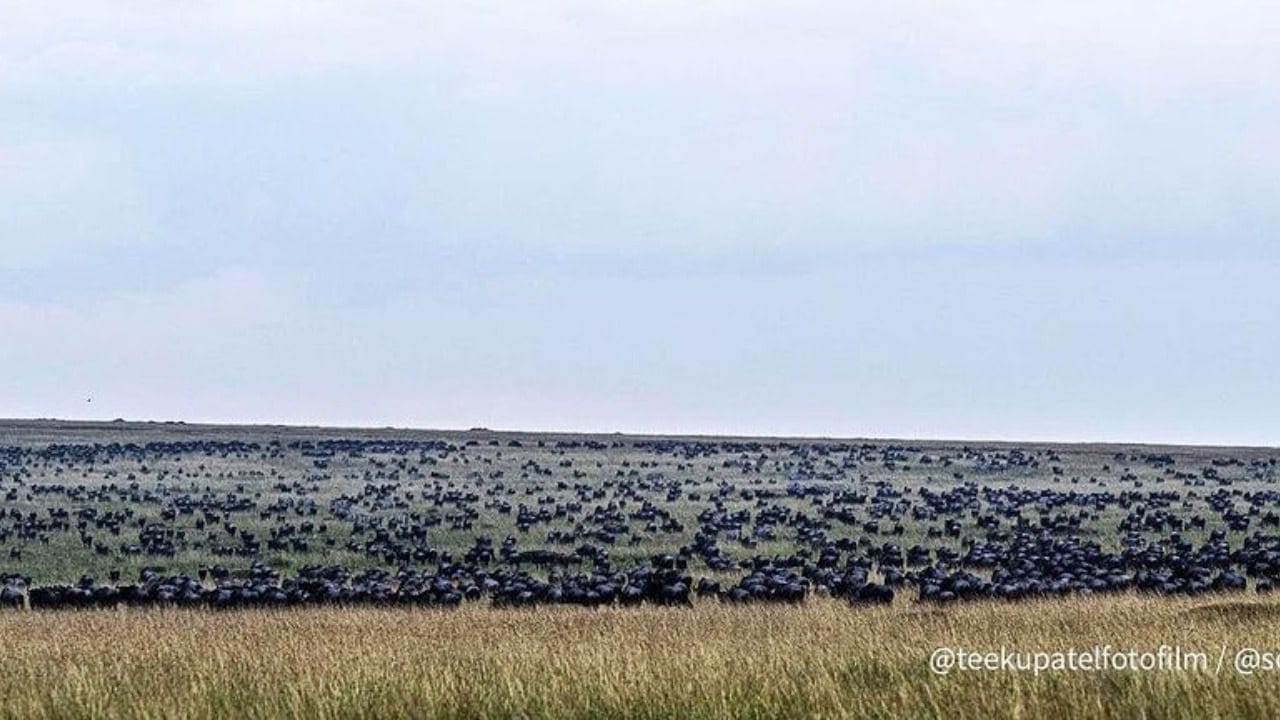 Sokomoto Images | Herdtracker Contributor | Discover Africa