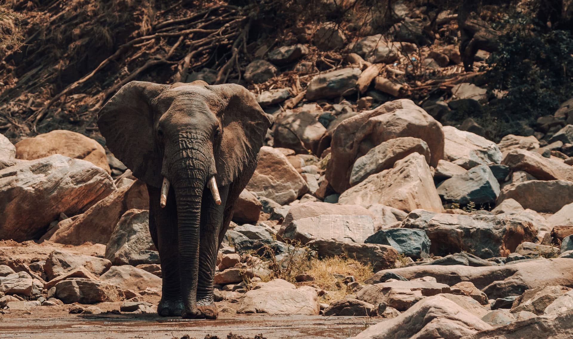 Wayo Manyara Green Camp | Discover Africa