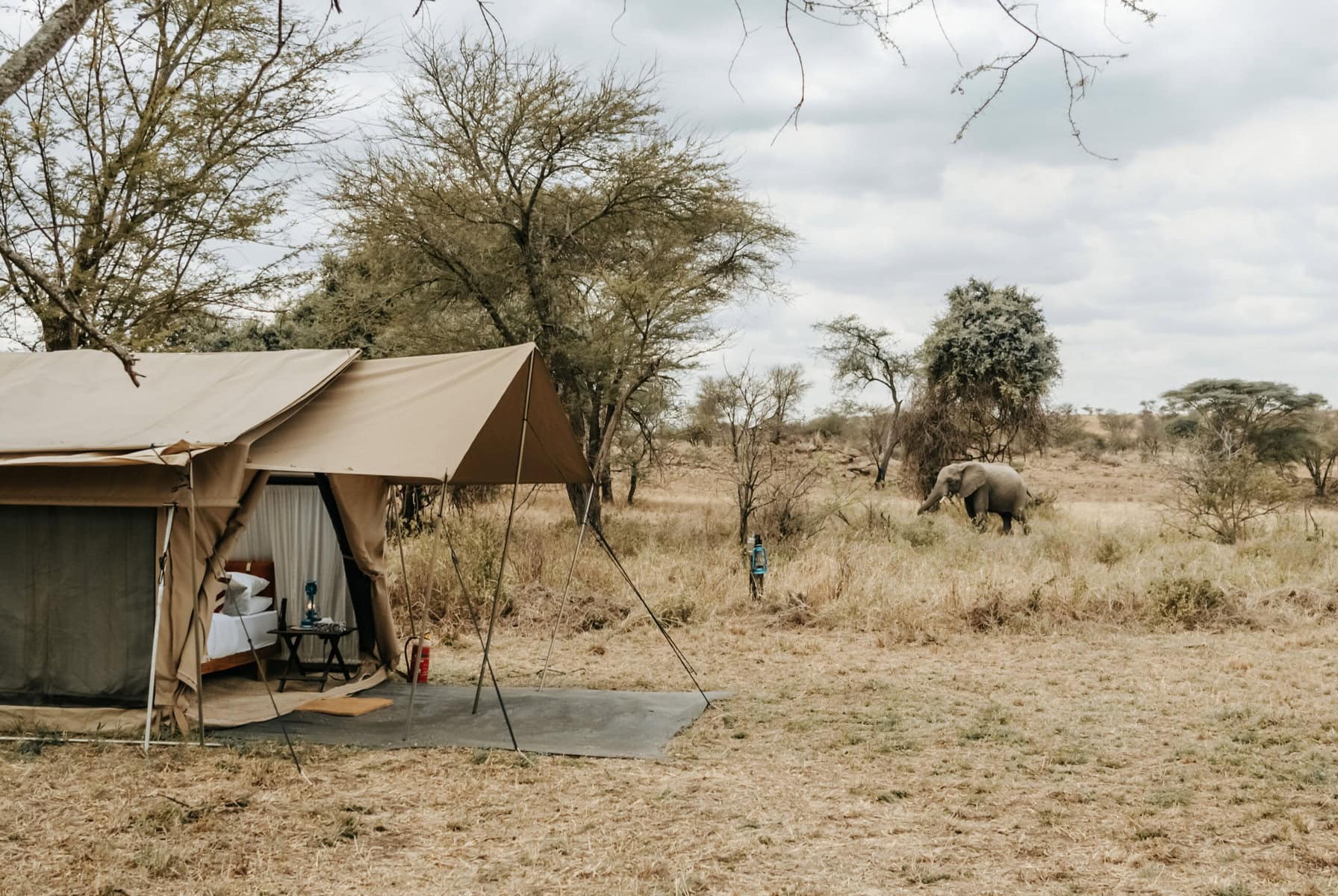 Wayo Walking Camp - North | Discover Africa