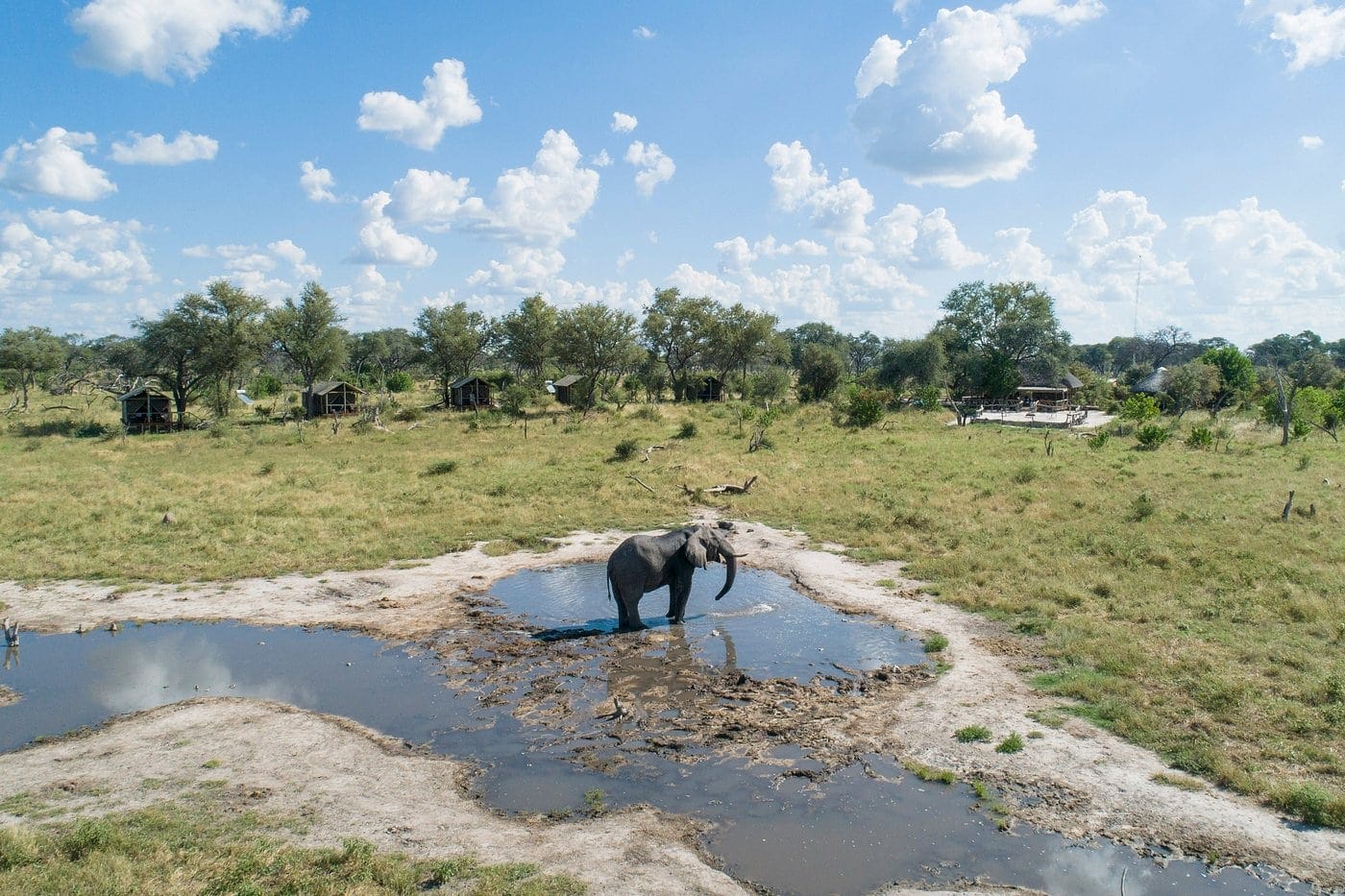 Mogogelo Camp | Discover Africa