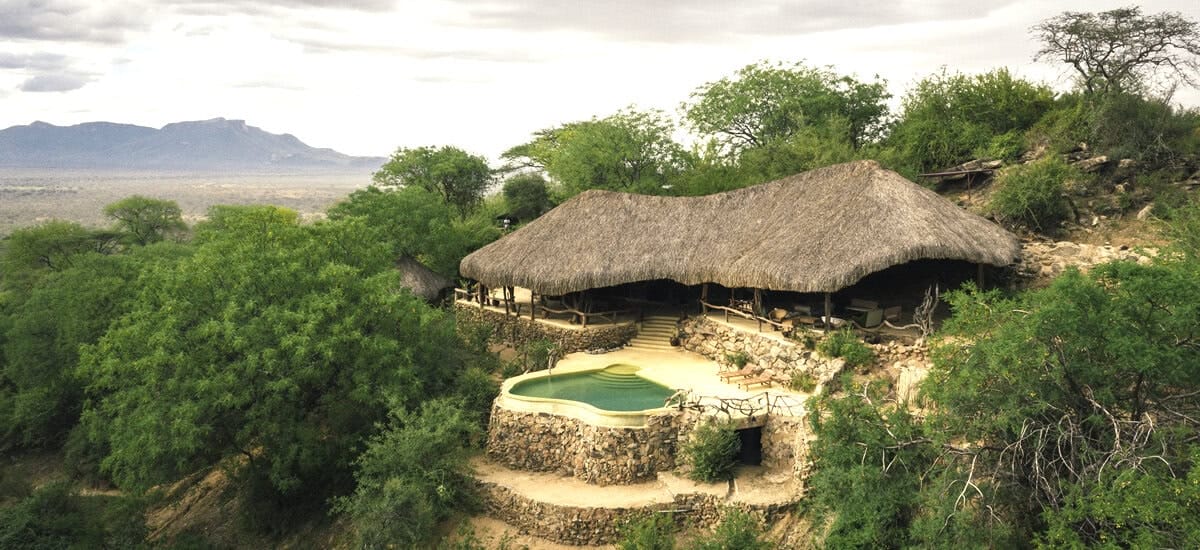 Sarara Tree | Discover Africa