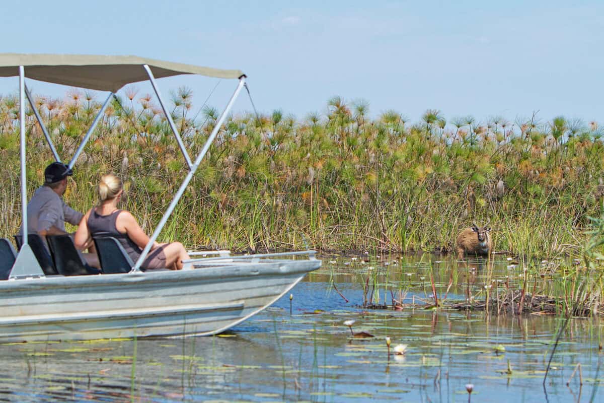 Exploring the Wildlife of Botswana's Okavango Delta by Canoe and Boat | Discover Africa