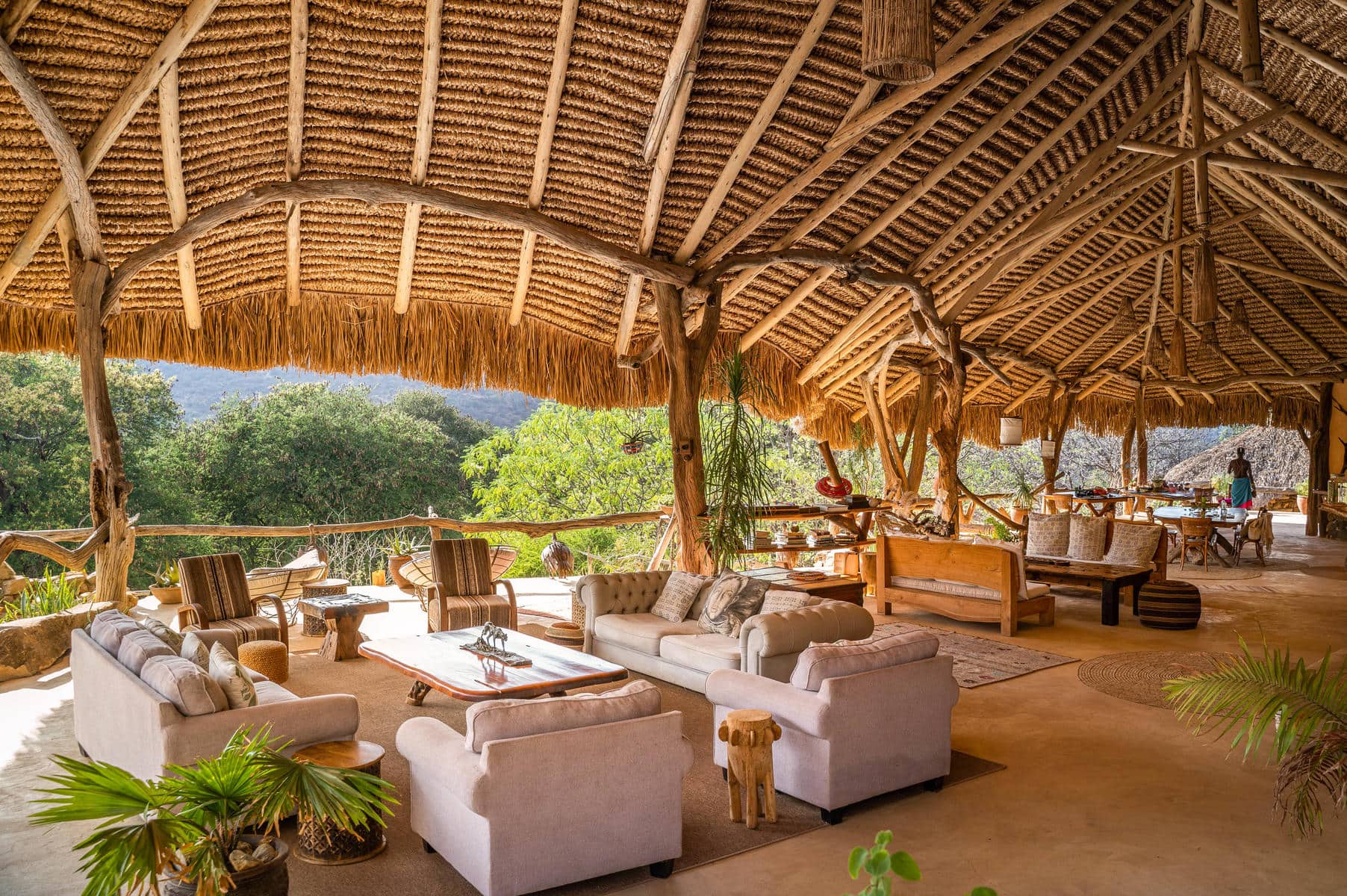 Sarara Tree | Discover Africa