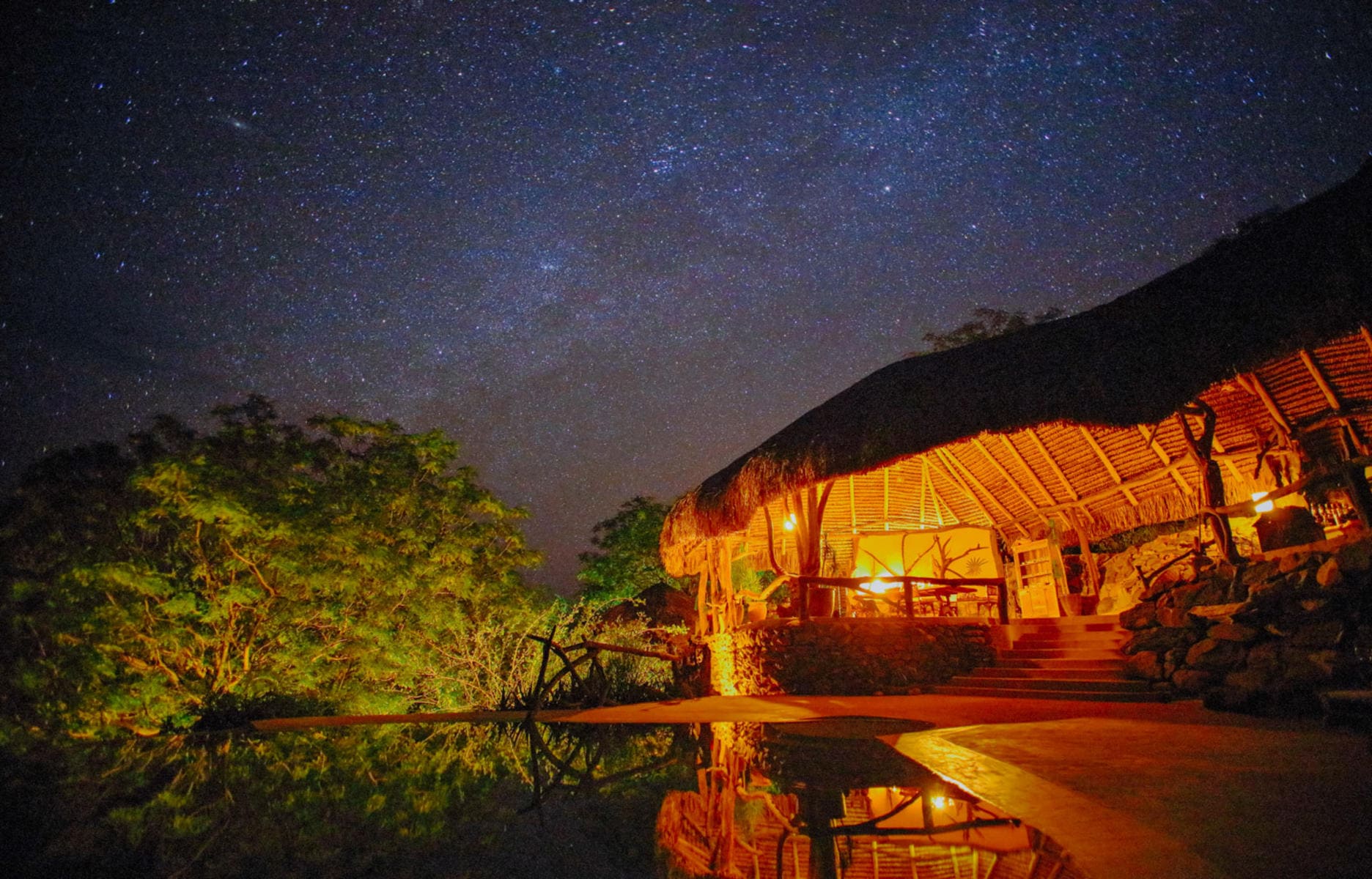 Sarara Tree | Discover Africa