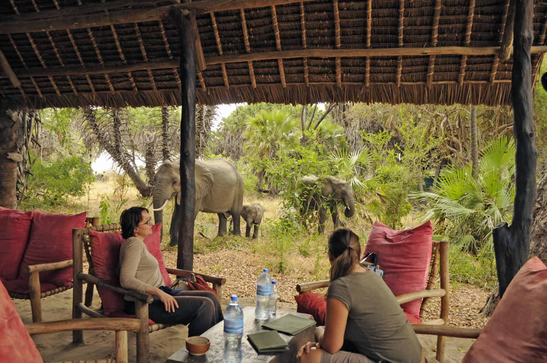 Lake Manze Tented Camp Lake Manze Tented Camp, Selous Game Reserve ...