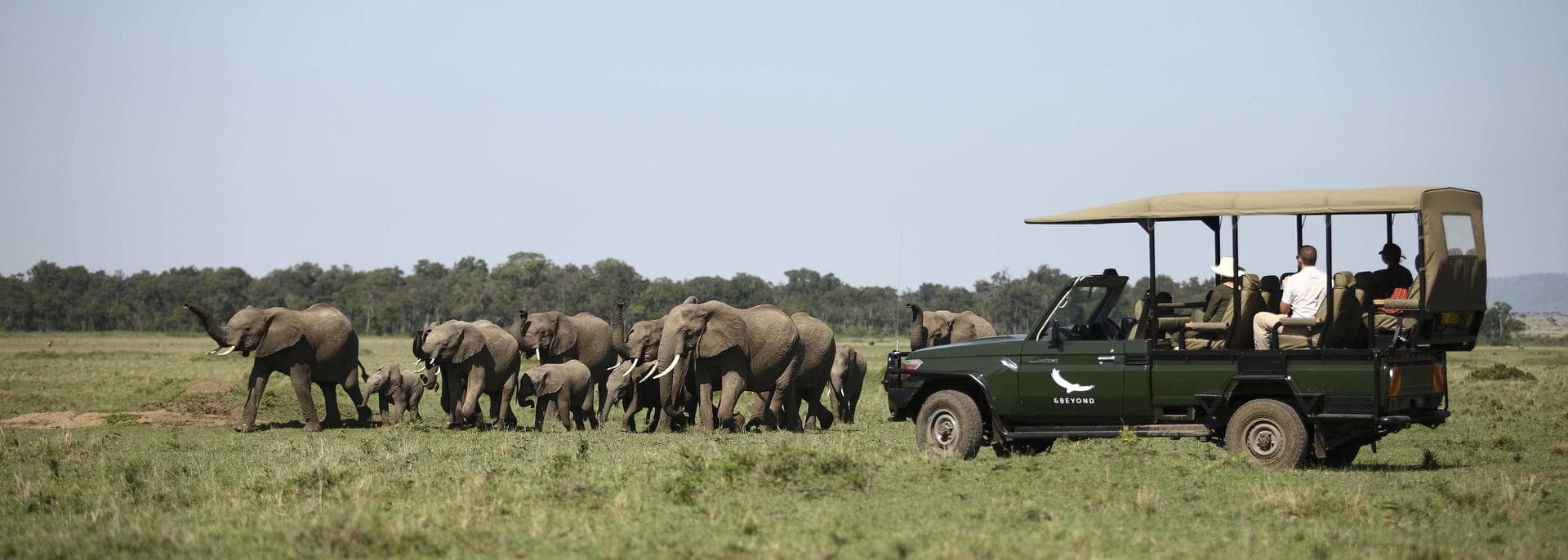 Affordable Masai Mara Safari (4 days) | Discover Africa