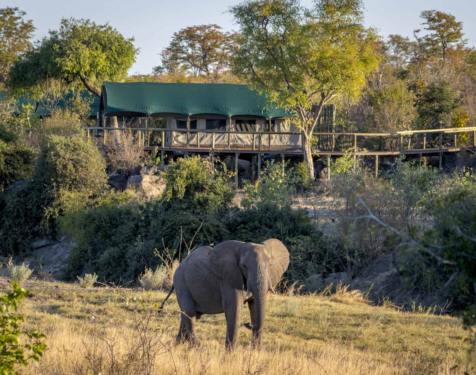 Deteema Springs Camp Deteema, Western Hwange National Park, Zimbabwe ...