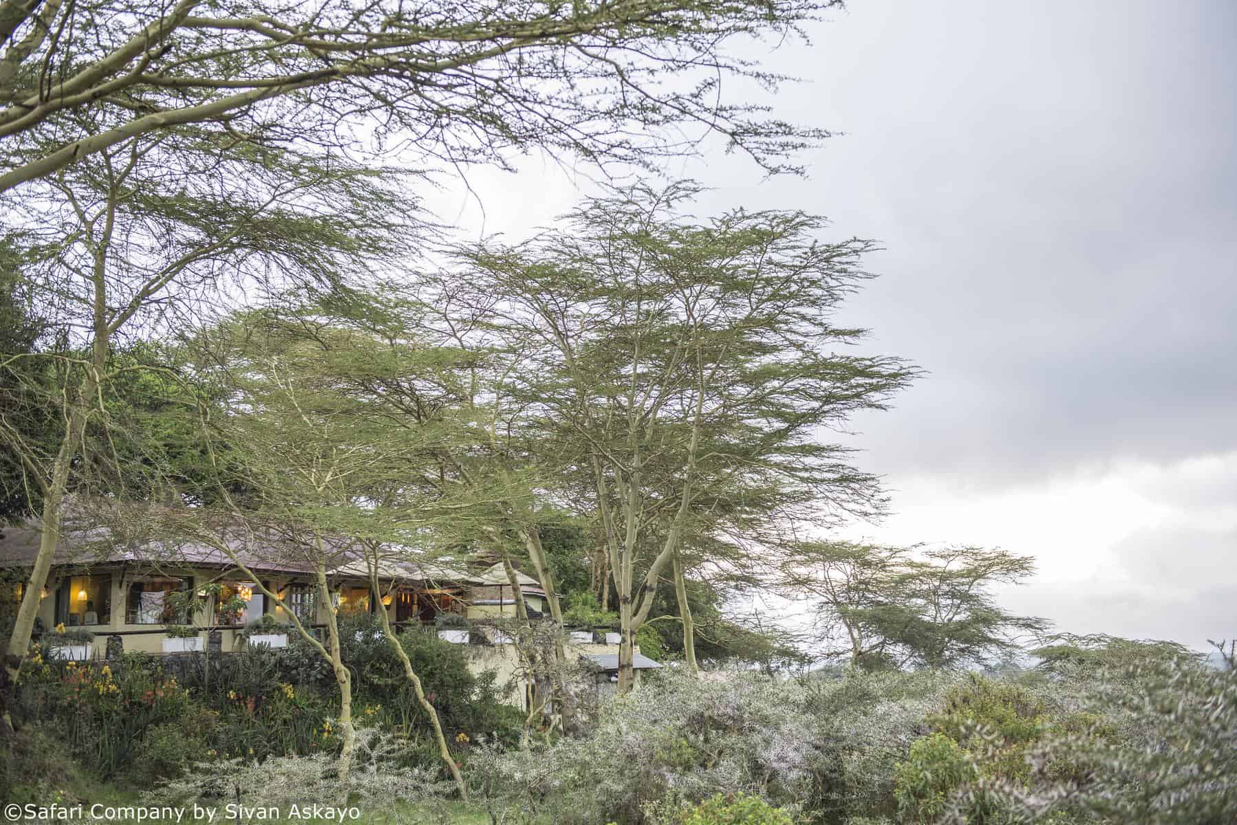 Hatari Lodge Hatari Lodge, Arusha National Park, Tanzania | Discover Africa