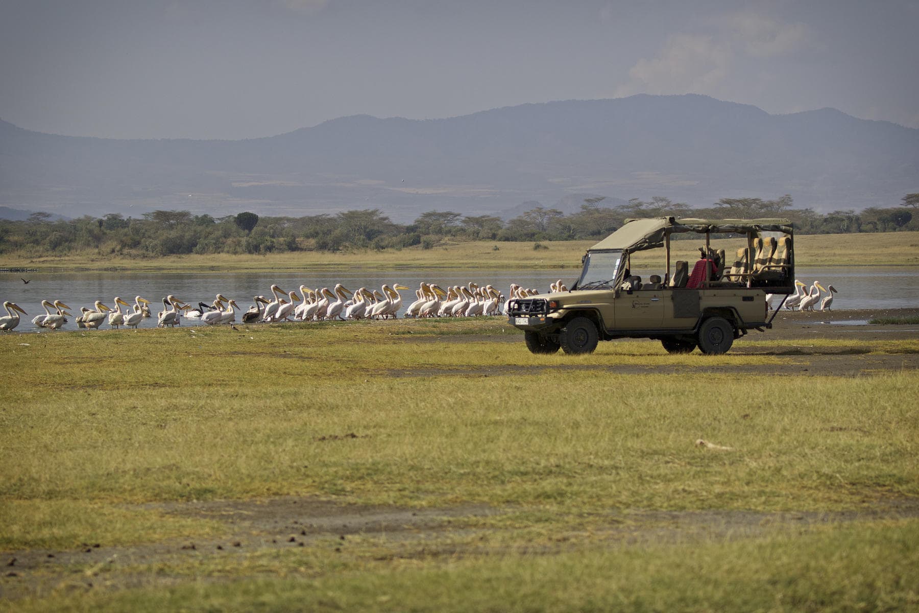 Mbweha Camp Mbweha Camp, Lake Nakuru, Kenya | Discover Africa