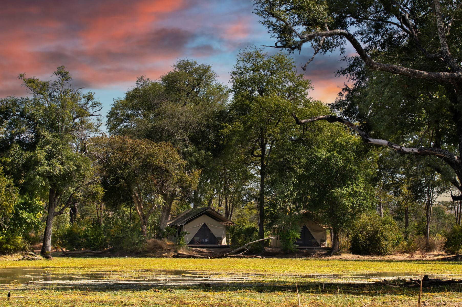 Ingwe Pan Ingwe Pan, Mana Pools National Park, Zimbabwe | Discover Africa