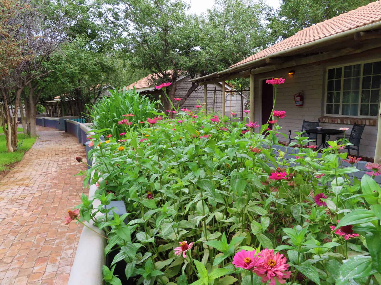 Damara Mopane Lodge Gondwana Collection Namibia Damara Mopane Lodge ...