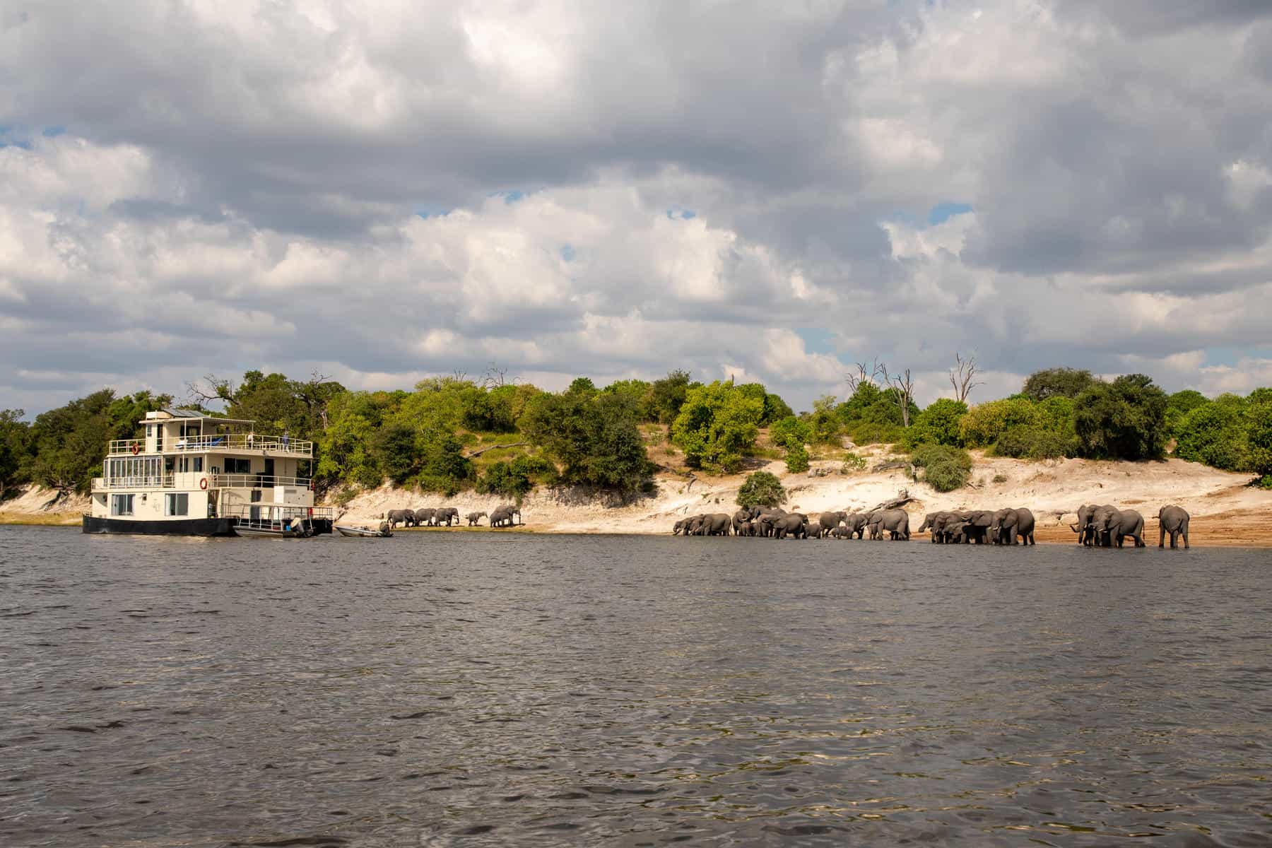 Chobe Princess Chobe Princess, Chobe River Front, Botswana | Discover ...