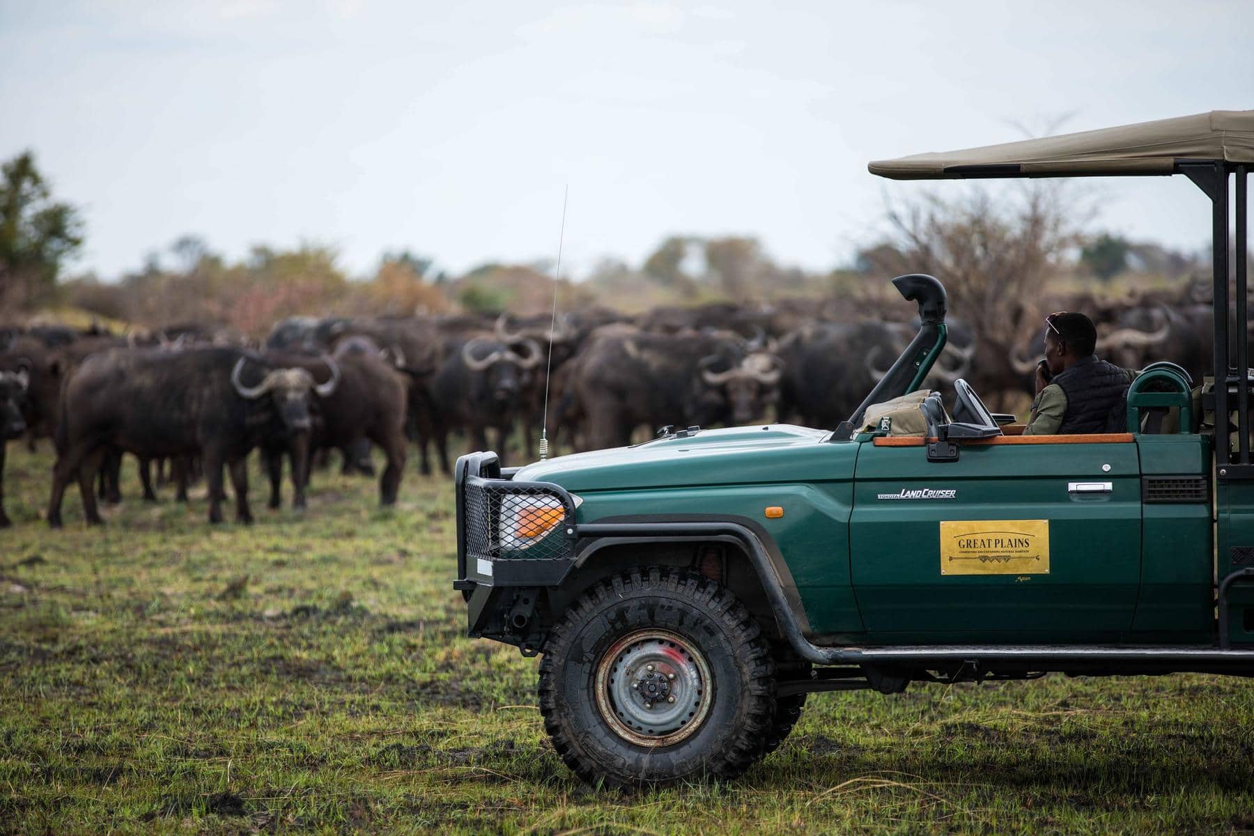 Okavango Explorers Camp | Discover Africa