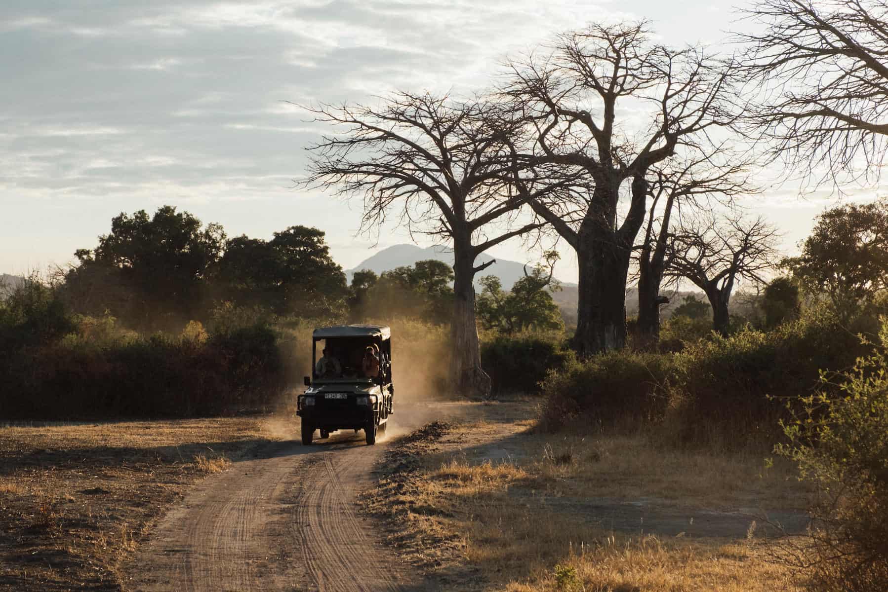Jabali Ridge | Discover Africa