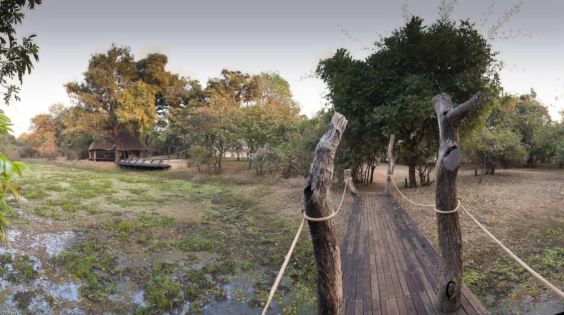 Nkwali Camp | Discover Africa